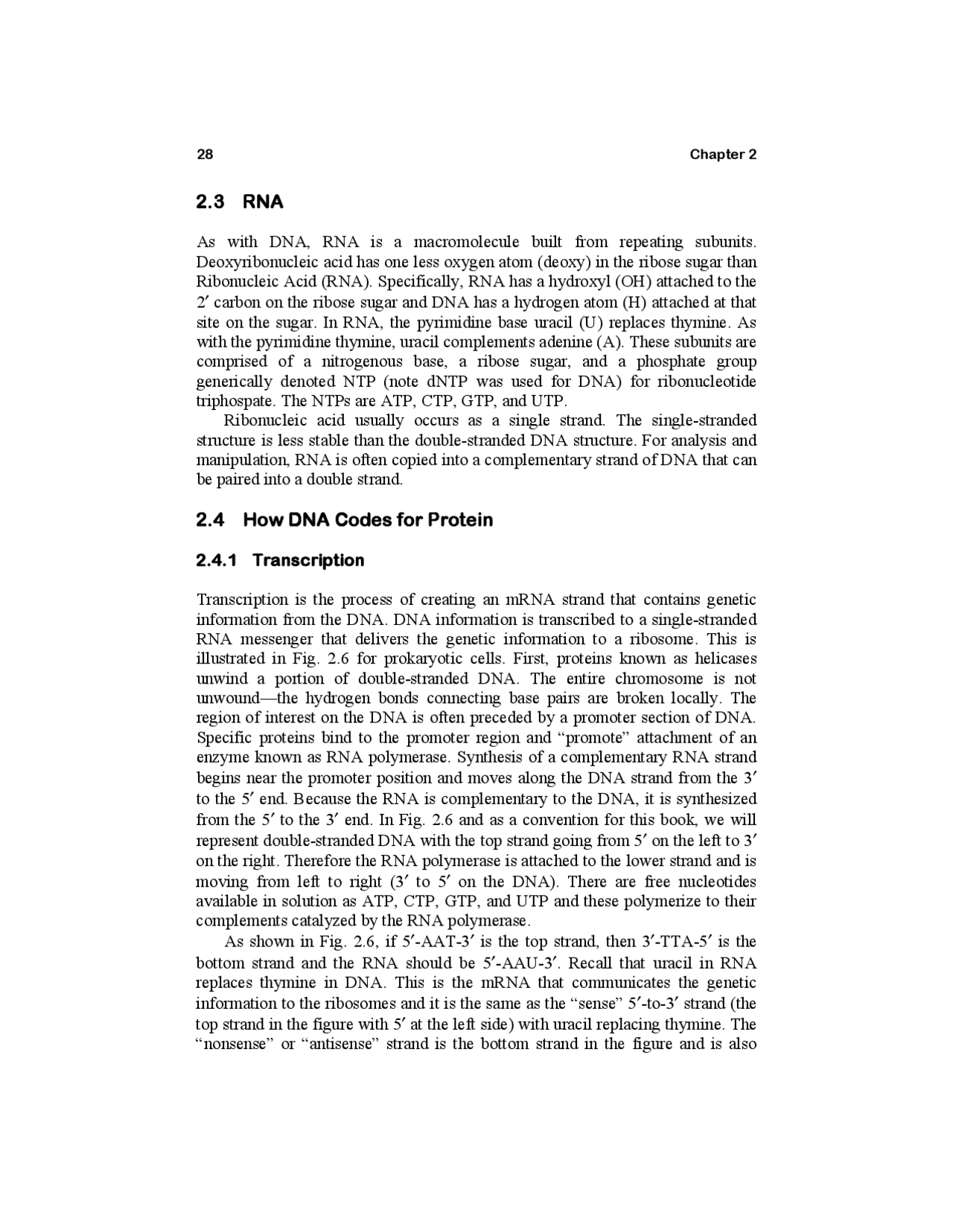 2.3 RNA 2.4 How DNA Codes for Protein | Study notes Biochemistry | Docsity