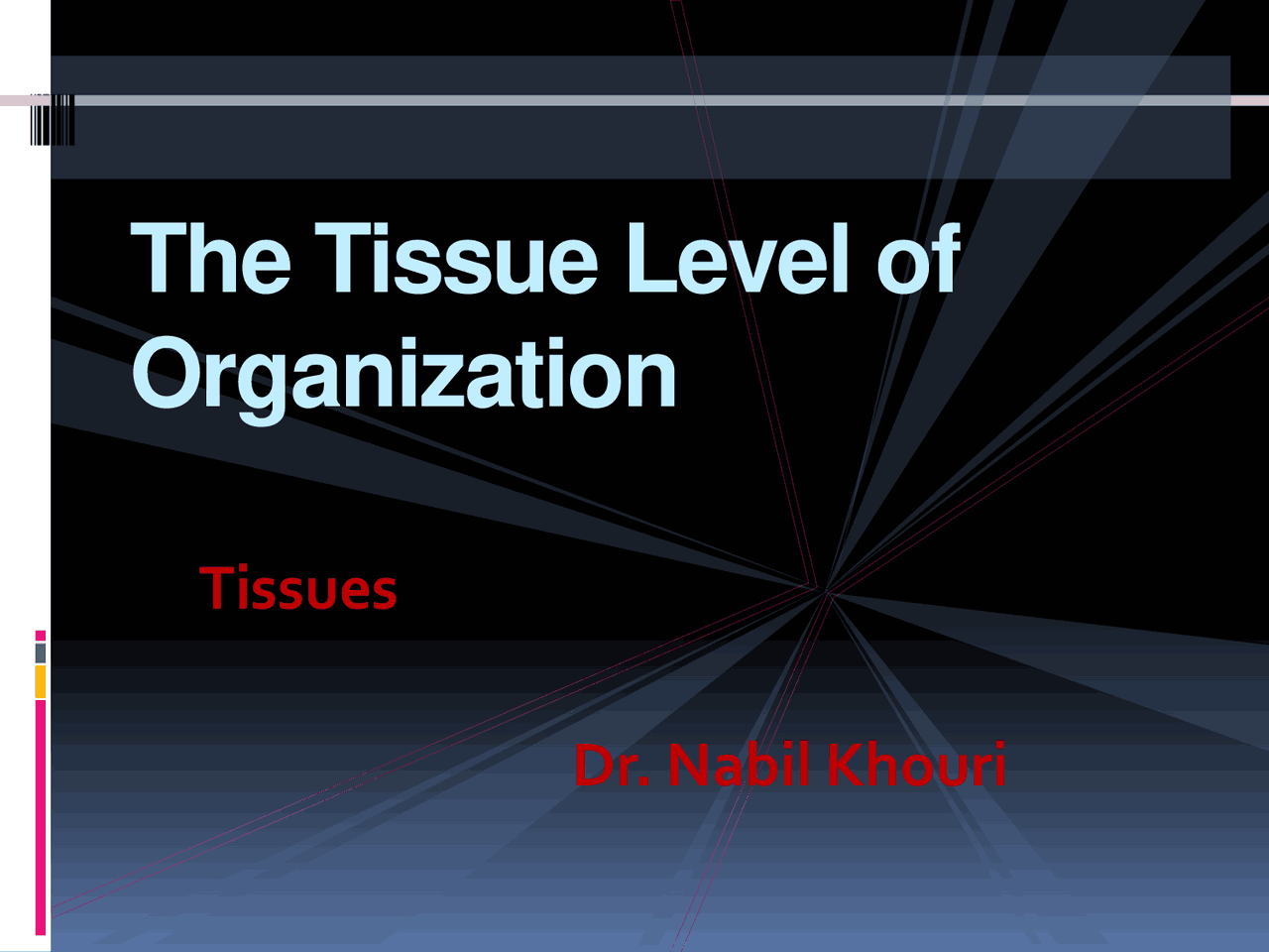 The Tissue Level of Organization | Exercises Cellular and Tissue ...