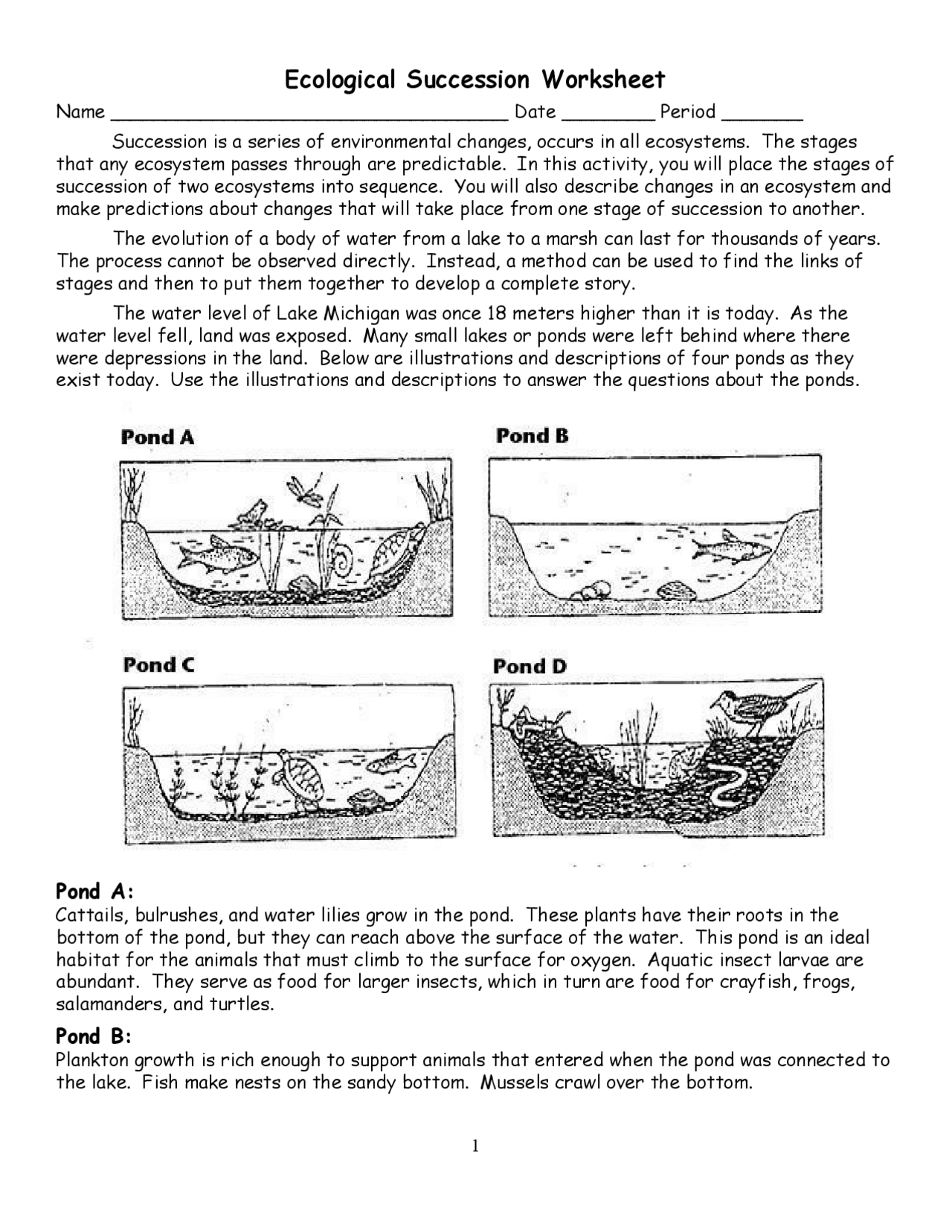 Ecological Succession Worksheet | Ejercicios Ecología y Medio Ambiente ...