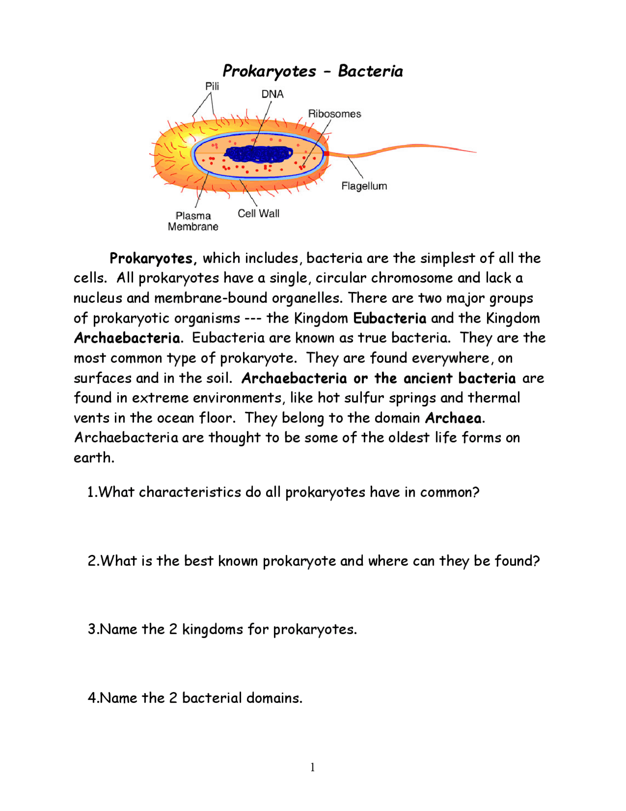 Prokaryotes Bacteria Slides Bacteriology Docsity