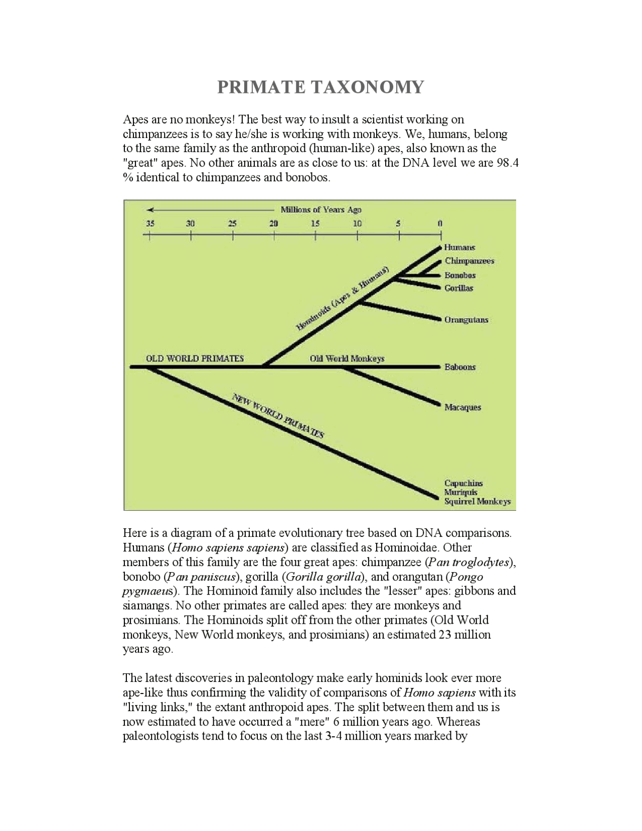Primate Taxonomy Lecture Notes Paleontology Docsity