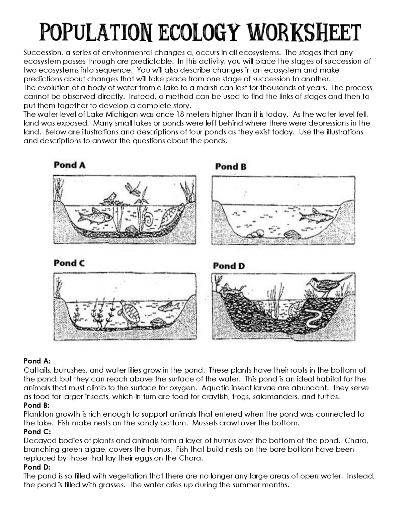 Ecological Succession Worksheet | Study notes Ecology and Environment ...