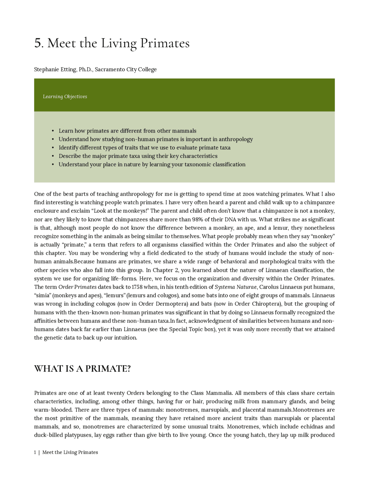 5. Meet the Living Primates | Explorations | Lecture notes Anthropology ...