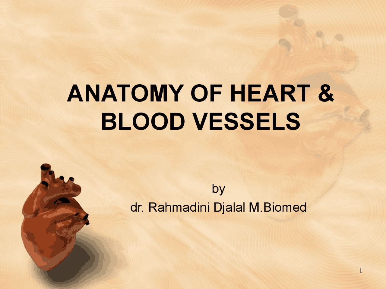 ANATOMY OF HEART & BLOOD VESSELS | Summaries Anatomy | Docsity