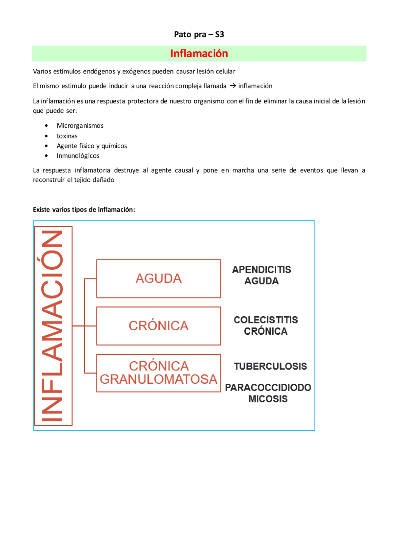 Patologia Practica Resumen Resúmenes De Patología Docsity