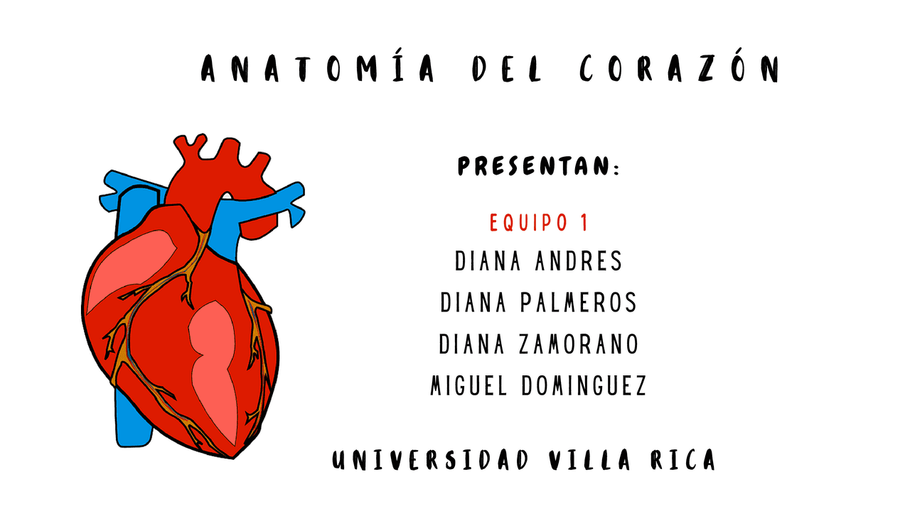 Anatomía del corazón | Esquemas y mapas conceptuales de Anatomía | Docsity