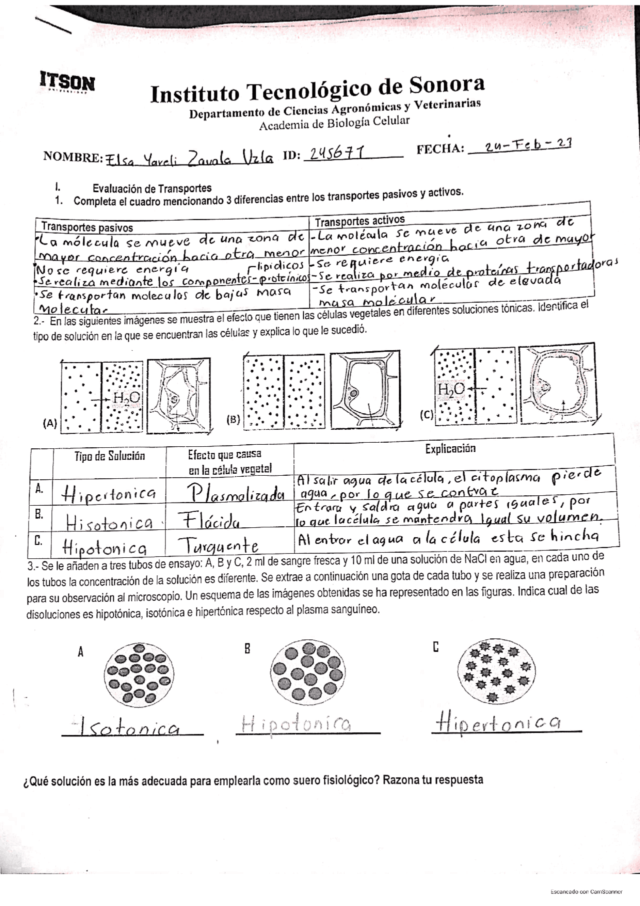 Actividad Integradora Ejercicios De Biología Celular Docsity