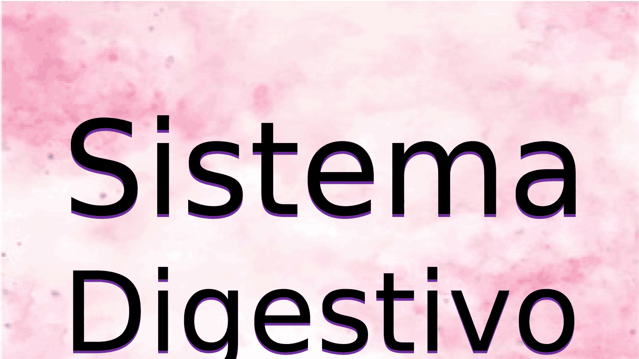 EL SISTEMA DIGESTIVO O APARATO DIGESTIVO | Slides of Anatomy | Docsity