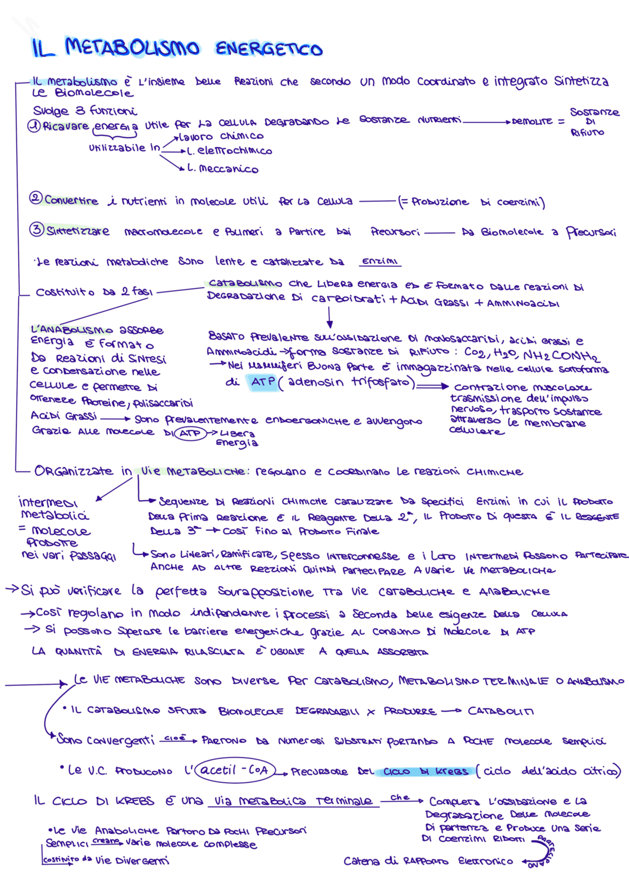 Riassunto Schema Di Biochimica Schemi E Mappe Concettuali Di Chimica Docsity