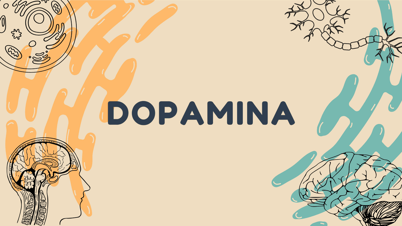 Dopamina, sus efectos y funciones, además como impacta en ciertas ...