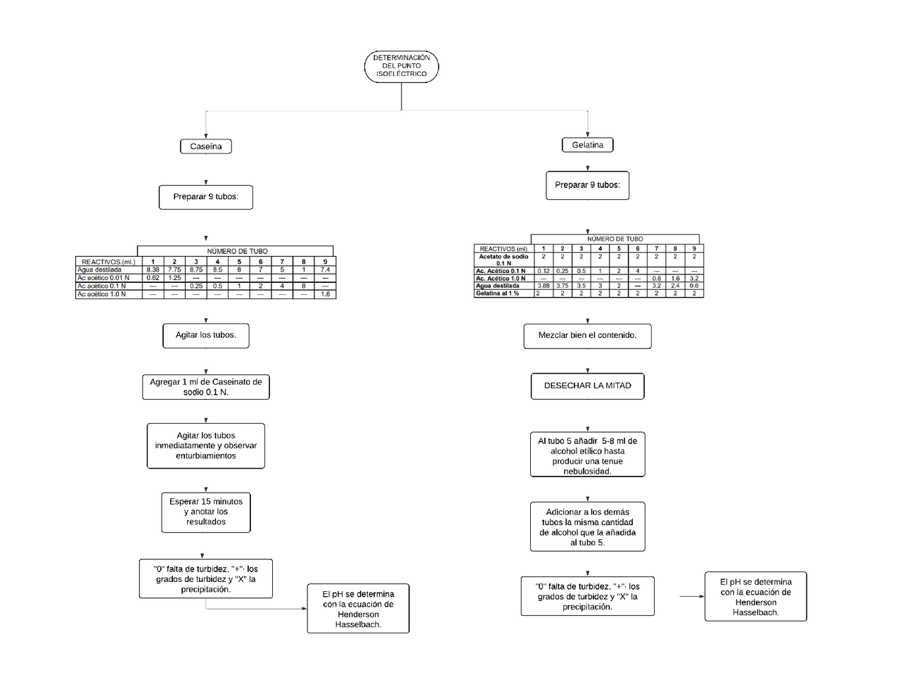 Determinación del punto isoeléctrico de proteínas | Esquemas y mapas conceptuales de Bioquímica ...