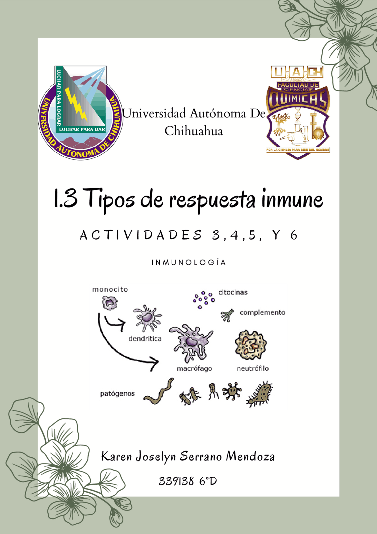 Tipos De Respuesta Inmune Ejercicios De Inmunología Docsity