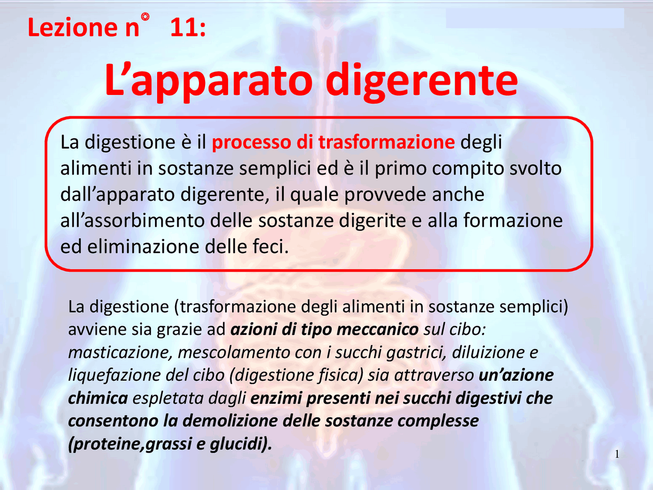 Lapparato Digerente Slide Di Igiene Docsity