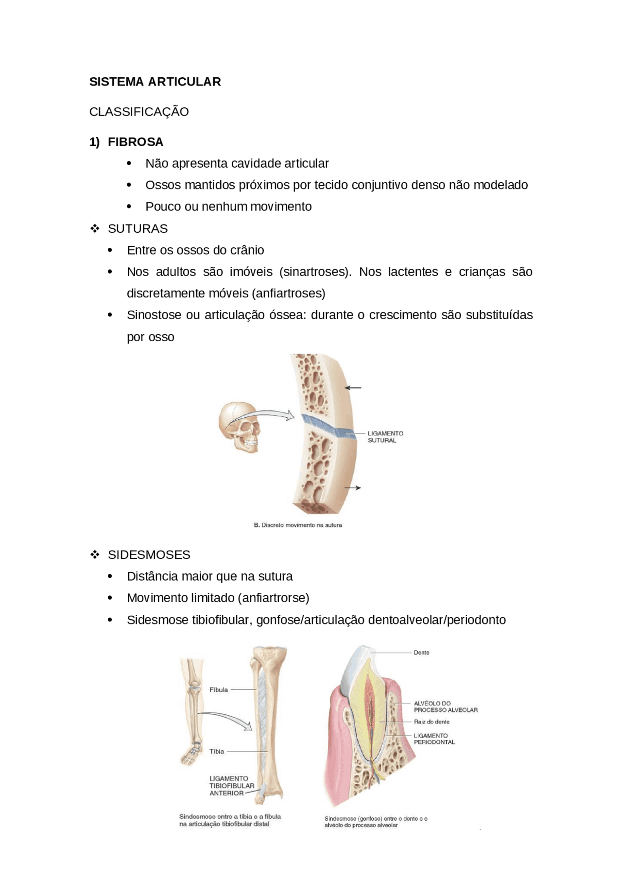 Sistema articulatório do corpo humano | Esquemas Anatomia | Docsity