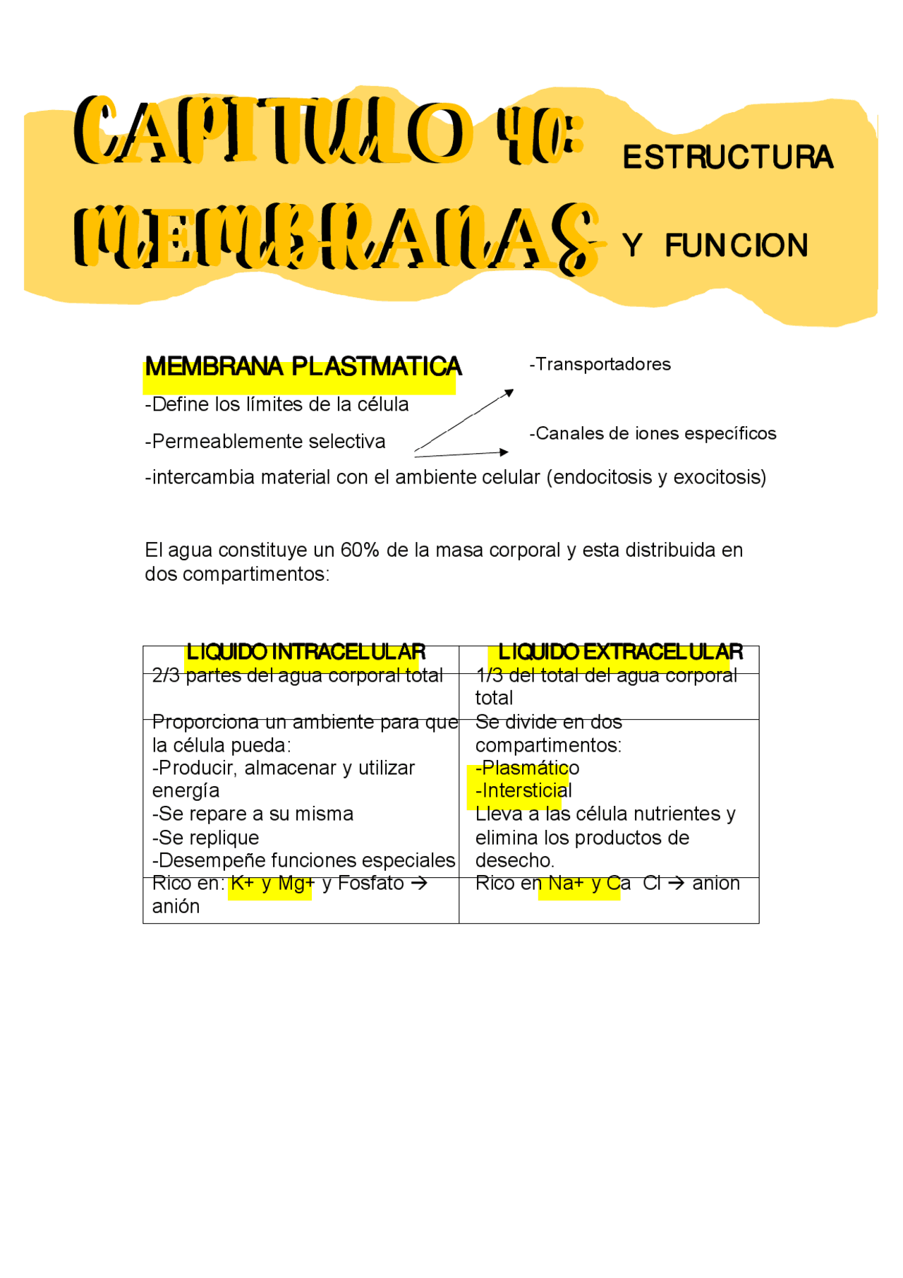 Capitulo 40 Membrana Plasmatica Summaries Of Biochemistry Docsity