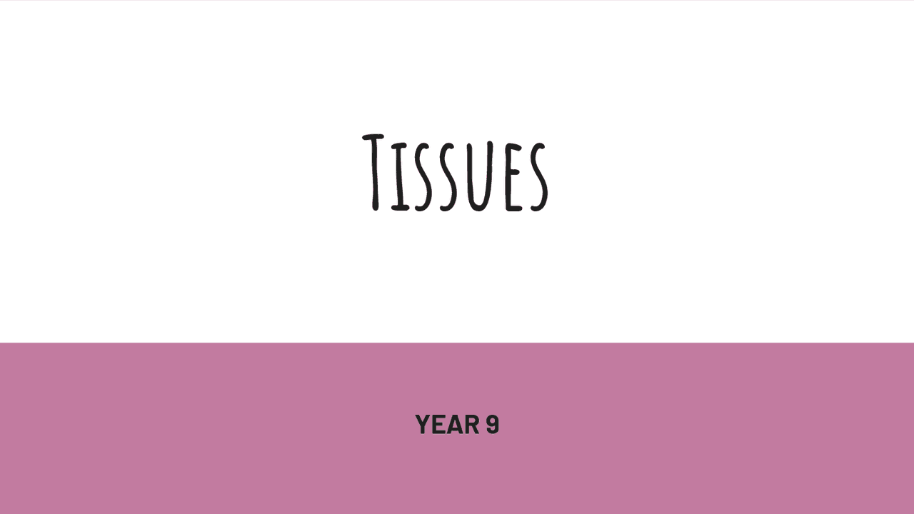 Notes for Plant Tissues- Grade 9- Biology | Study notes Biology | Docsity