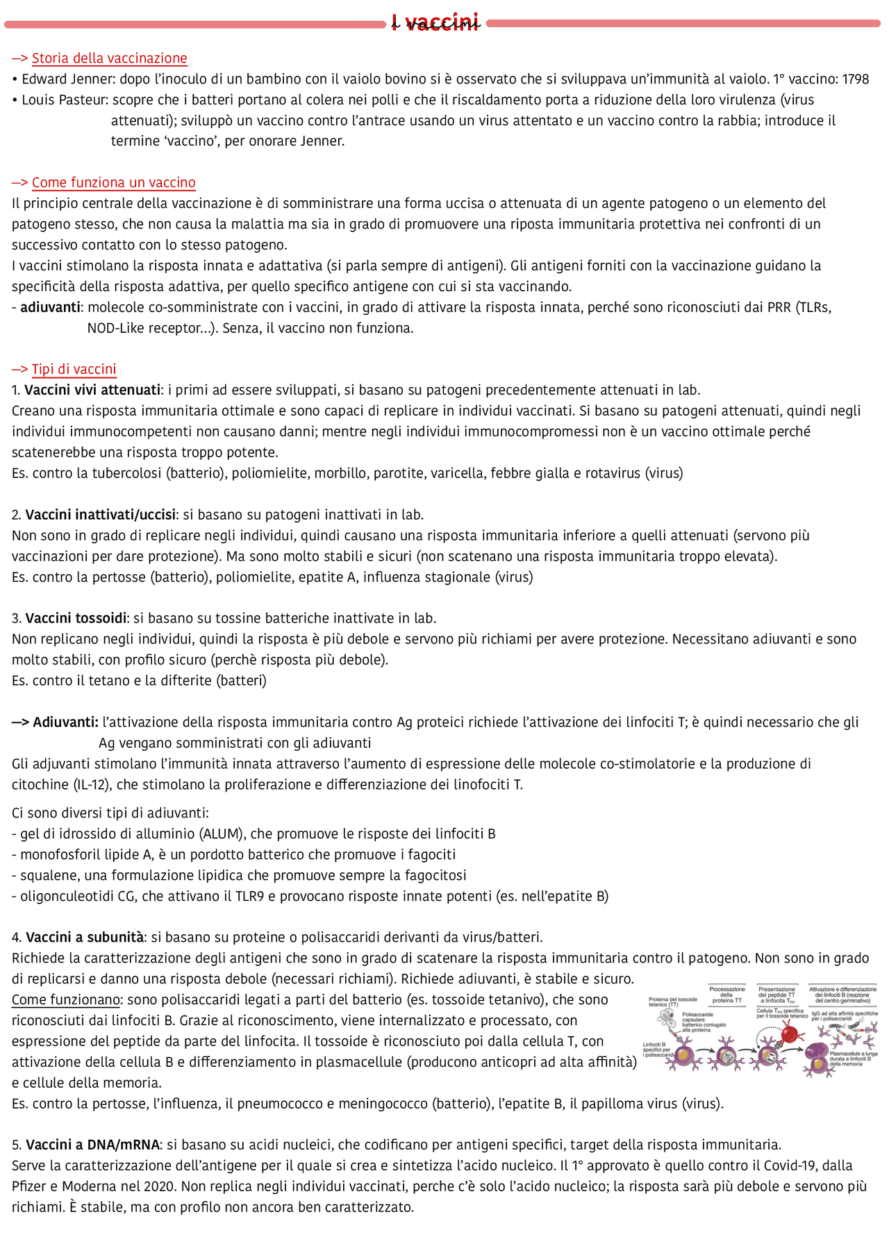 I Vaccini Funzione E Tipologie Appunti Di Immunologia Docsity