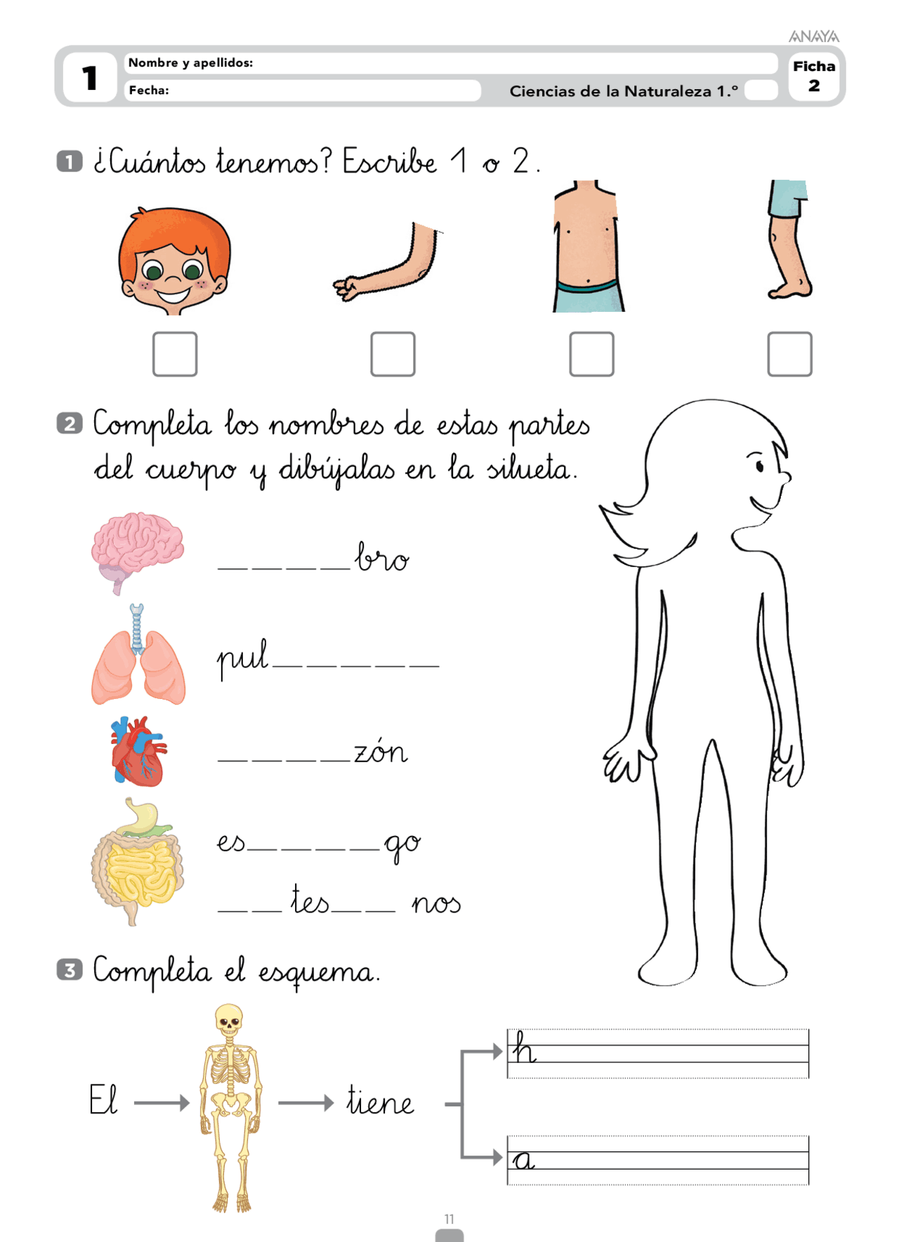 Ejercicios ampliación ciencias naturales 1° primaria Anaya | Ejercicios ...