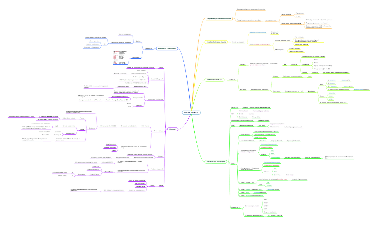 Decarbossilazione Ossidativa E Ciclo Di Krebs Schemi E Mappe