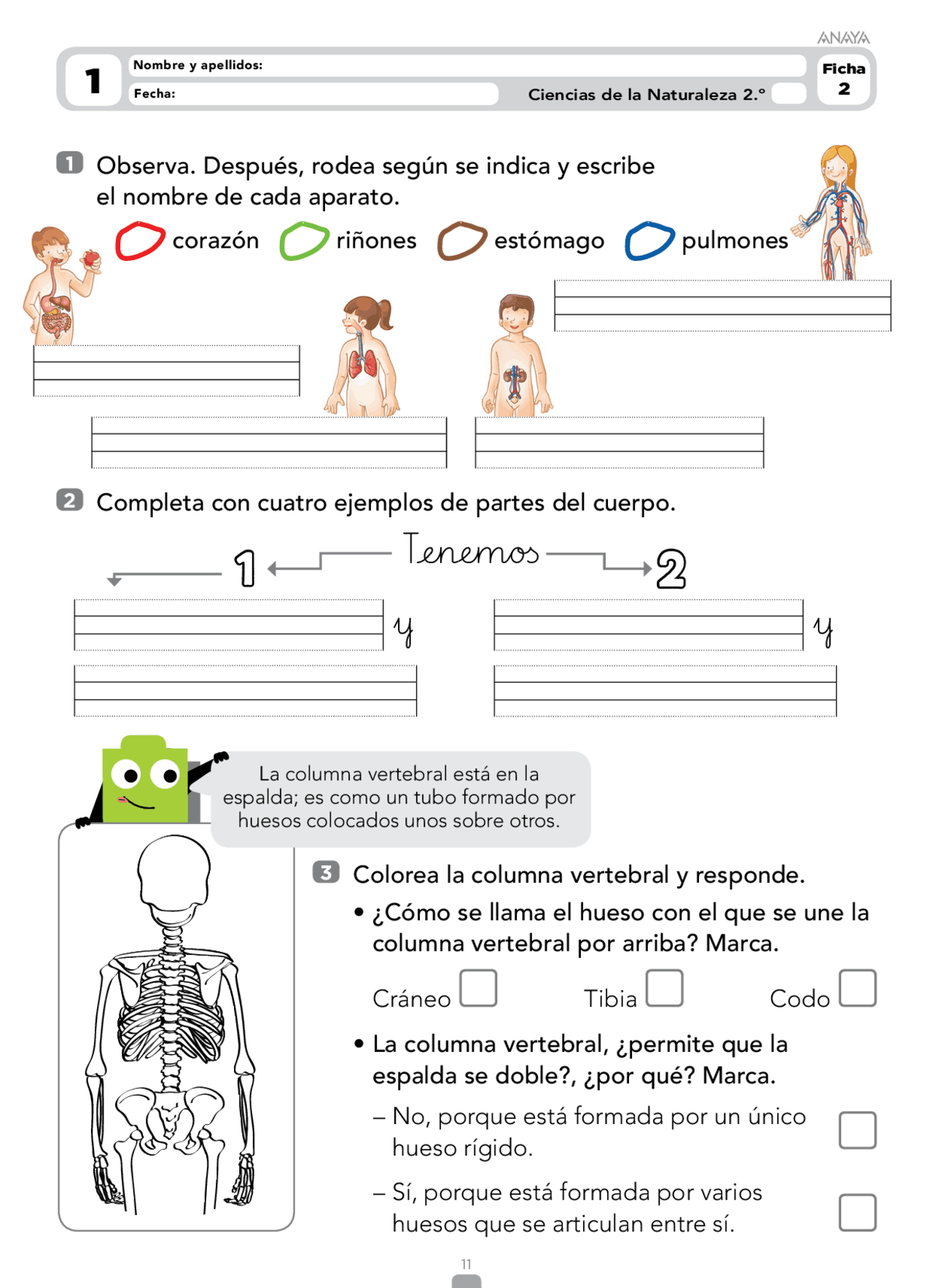 Ejercicios ciencias naturales 2° primaria Anaya | Ejercicios de ...
