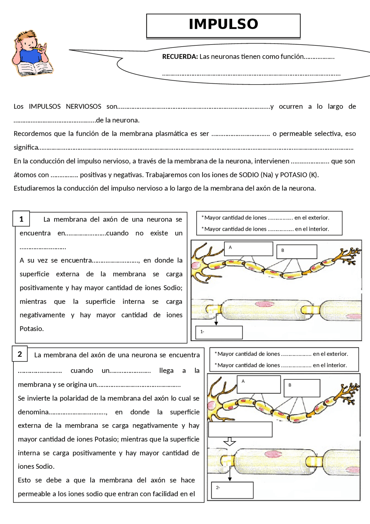 Impulso nervioso guia | Esquemas y mapas conceptuales de Biología | Docsity