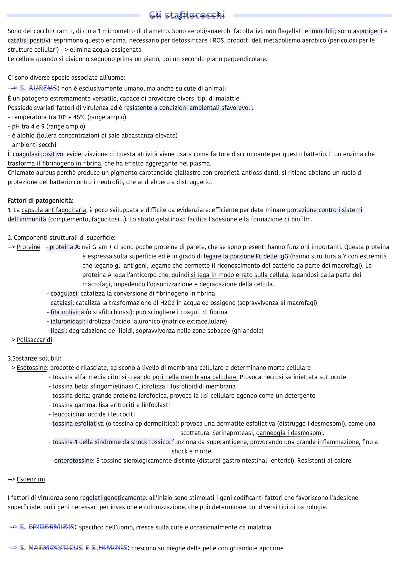 Gli stafilococchi - caratteristiche e patogenicità | Appunti di Microbiologia | Docsity