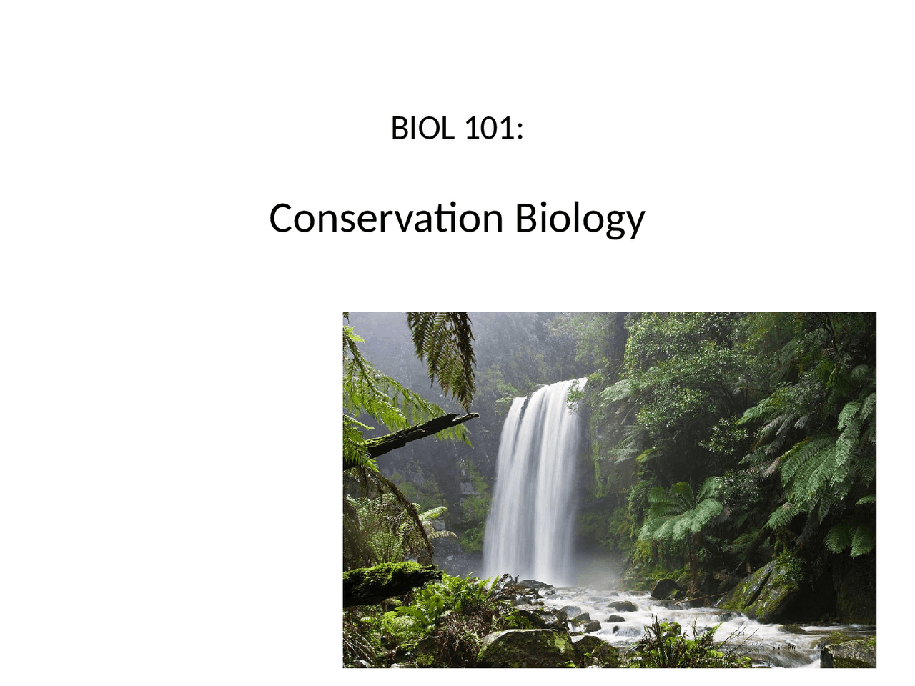 BIOL_101_Conservation_Biology_Summer_2023 | Exams Biology | Docsity