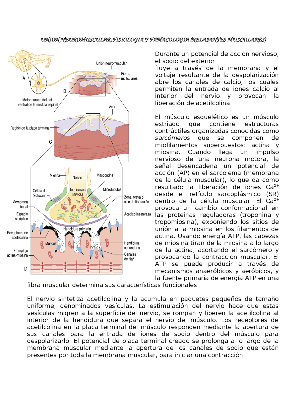 Algunas Tareas Dr Anestesio Resúmenes De Anestesiología Docsity