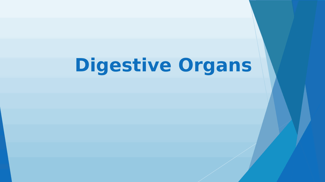 The Digestive System 2 Lab Reports Anatomy Docsity