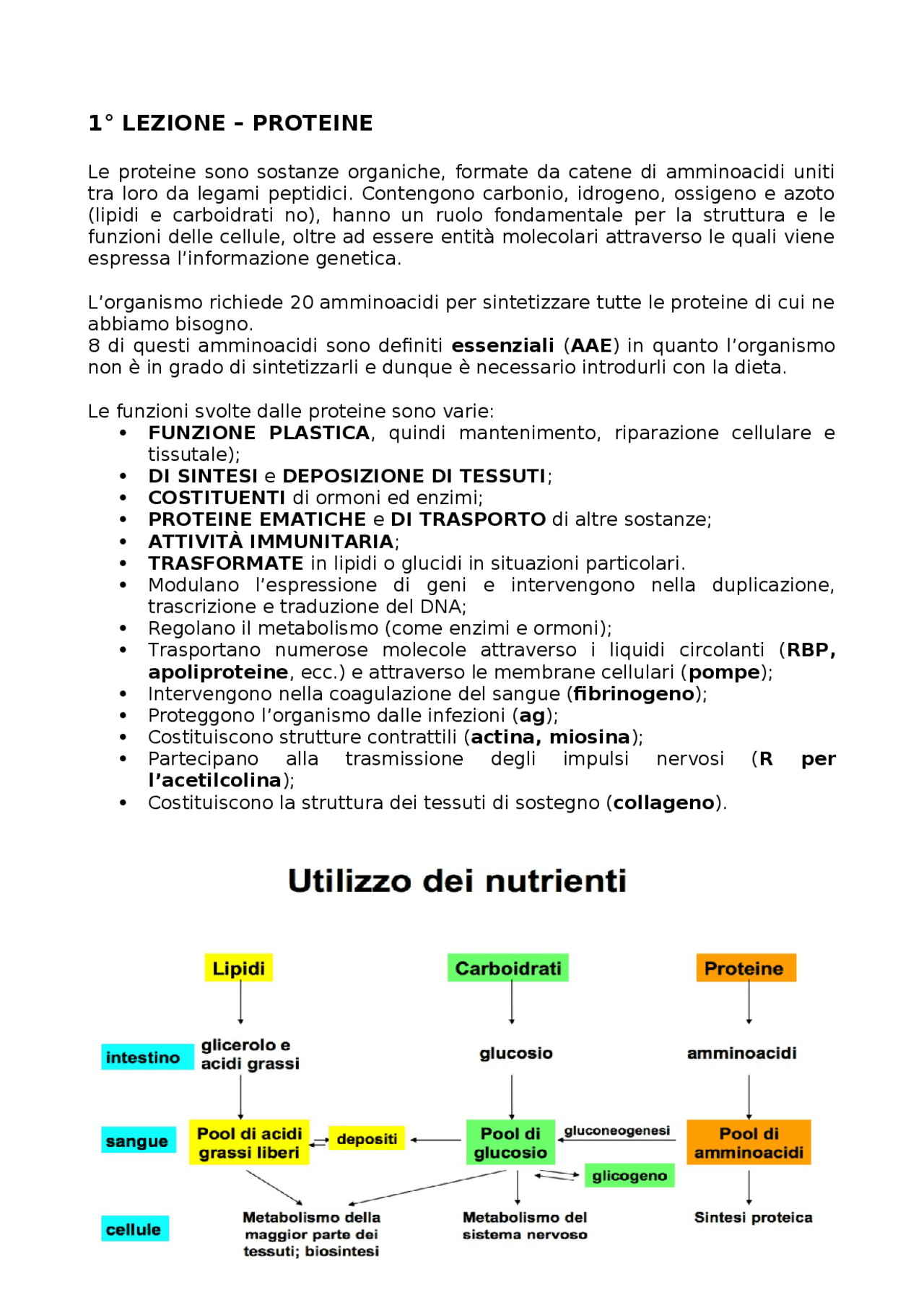 Scienze Della Nutrizione Modulo 3 4 5 Appunti Di Scienze Degli