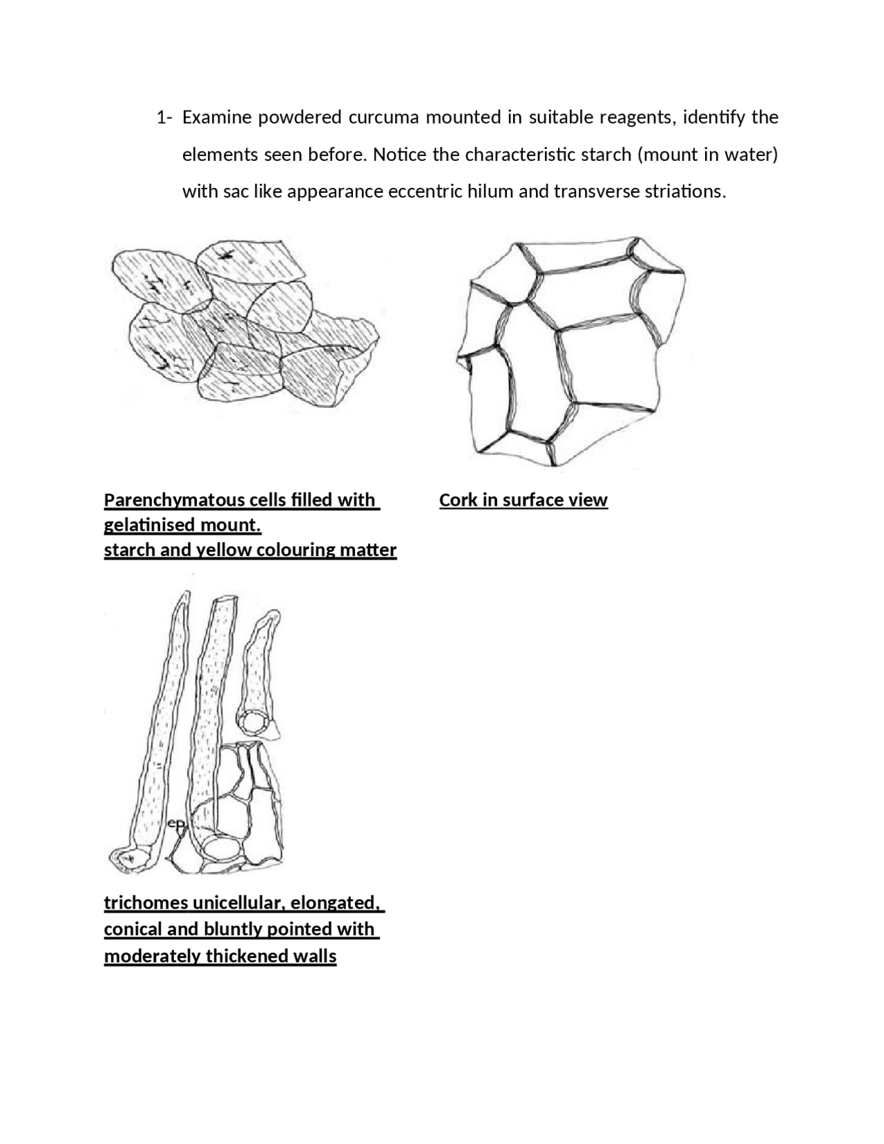 Key elements of powdered curucuma | Schemes and Mind Maps Pharmacognosy ...