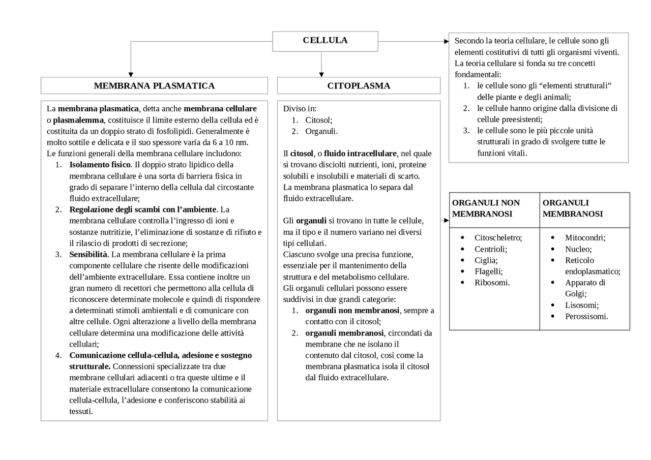 LA CELLULA E TEORIA CELLULARE | Schemi e mappe concettuali di Anatomia ...