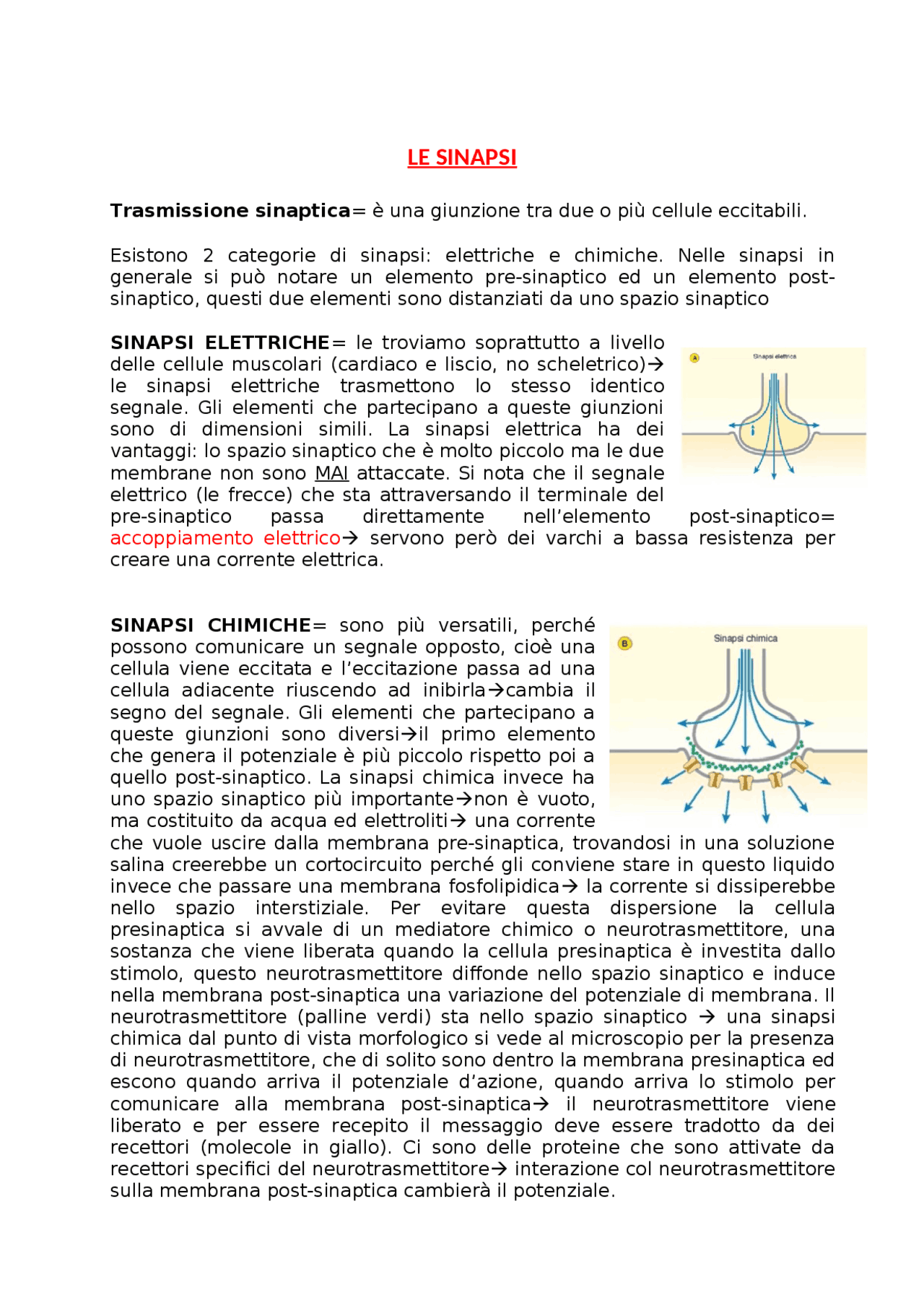 Fisiologia - le sinapsi | Sbobinature di Fisiologia | Docsity