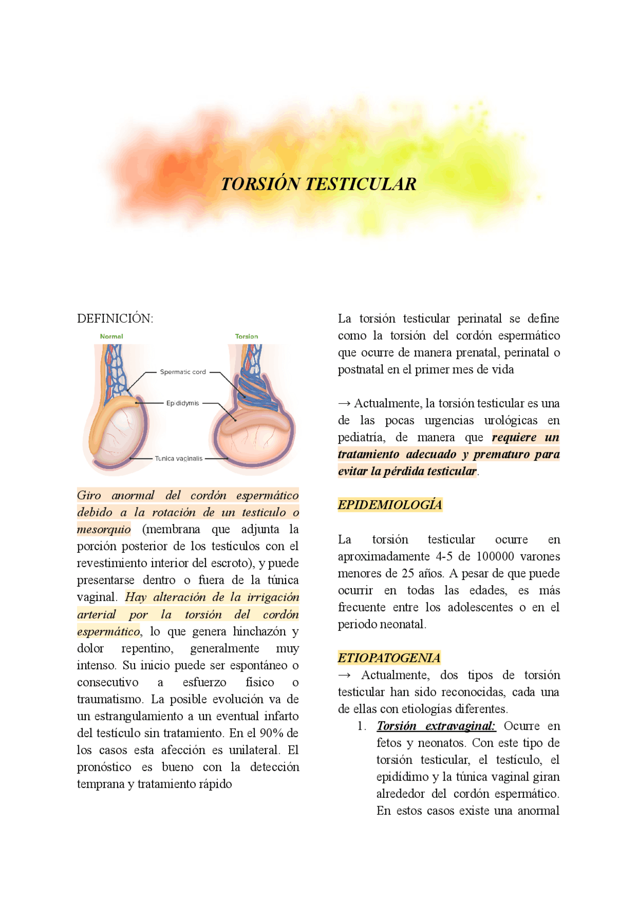 Torsión testicular generalidades | Apuntes de Urología | Docsity