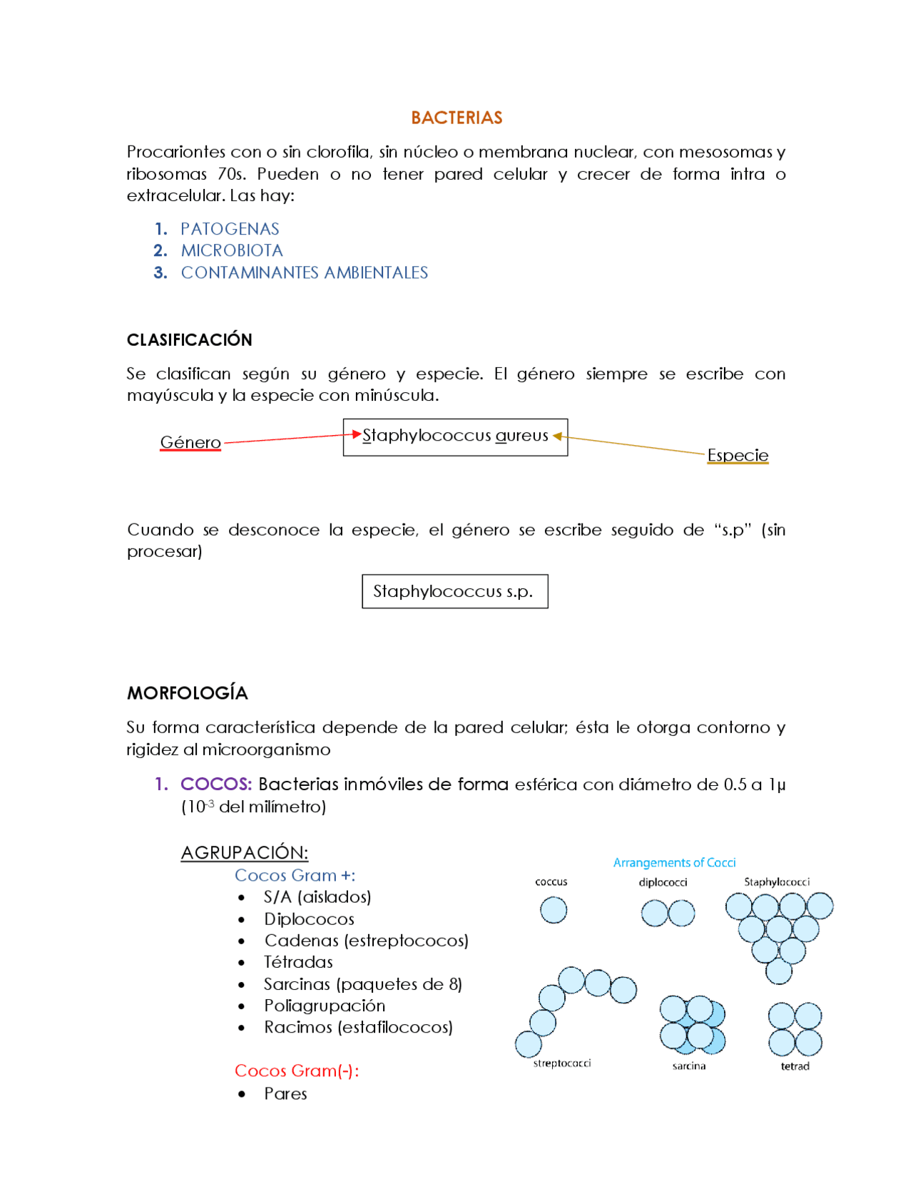 Apuntes De Desarrollo Humano Apuntes De Desarrollo Humano Docsity