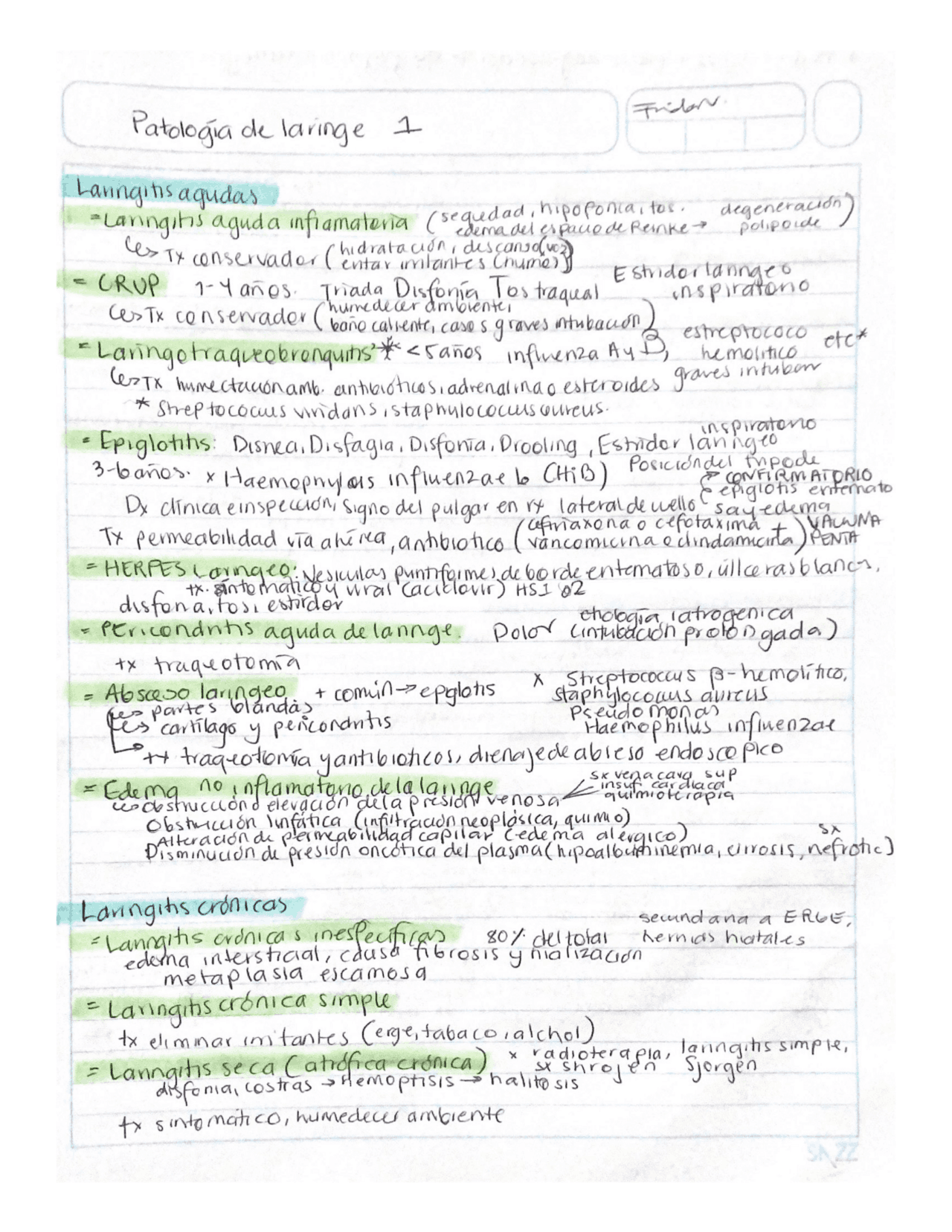 Anatomía Y Patología De Faringe Apuntes De Otorrinolaringología Docsity