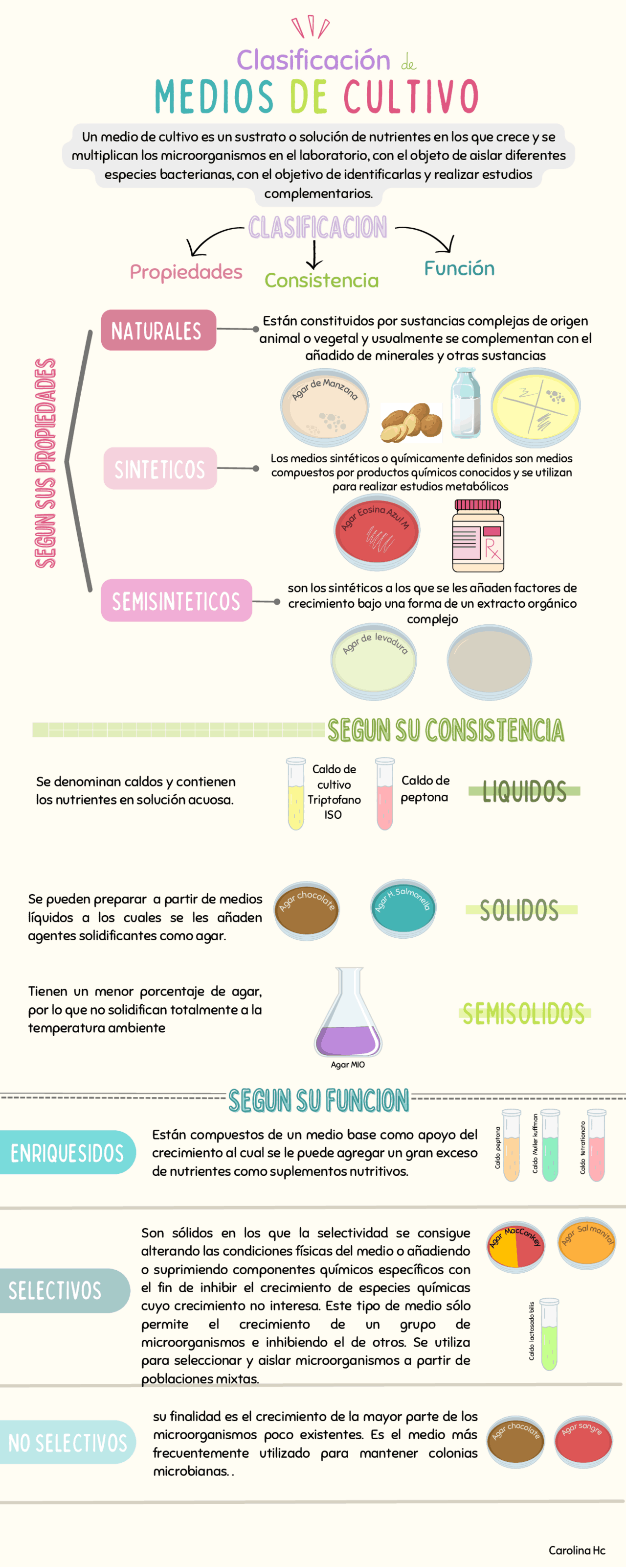 Clasificación de medios de cultivo | Esquemas y mapas conceptuales de ...