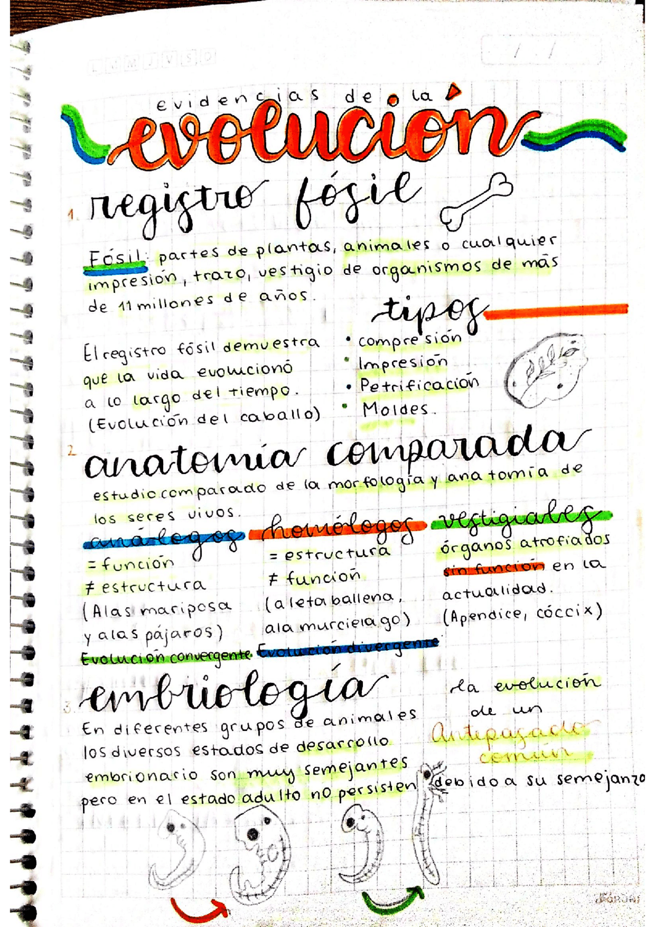Biología Mención Pdt Apuntes De Biología Docsity