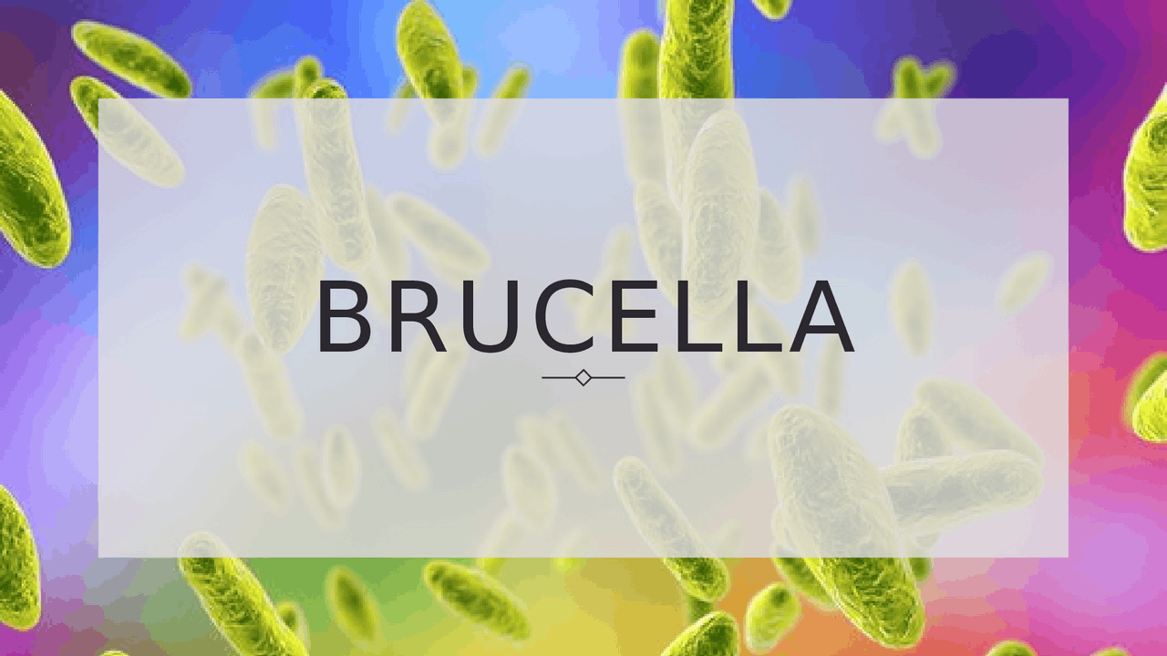 Brucella Microbiología Murray 9 Ed | Diapositivas de Microbiología ...