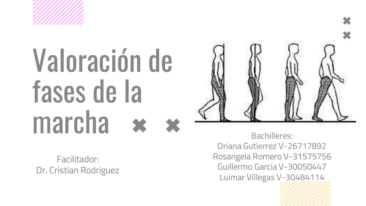 La Marcha Tipos Etc Diapositivas De Diagnóstico Docsity