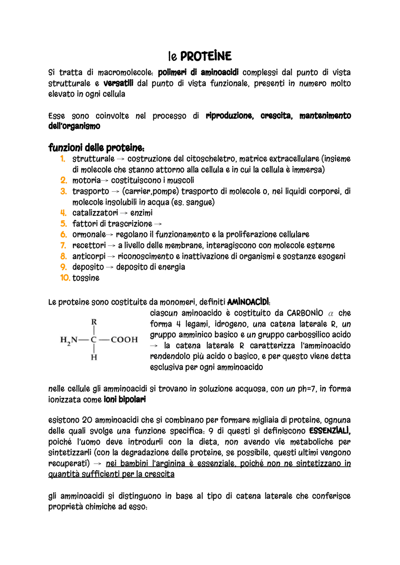 Macrmolecole: le proteine la loro struttura e la loro attività | Sbobinature di Biologia Animale ...