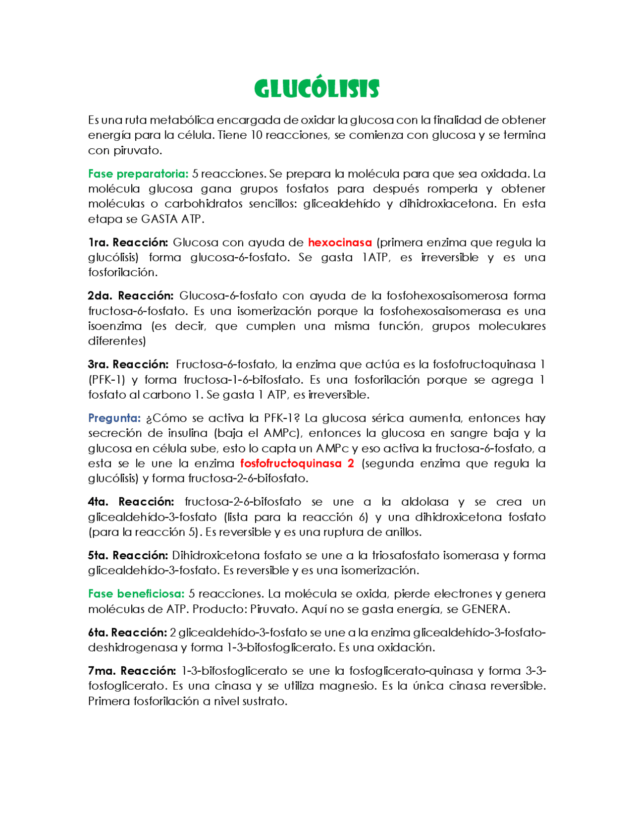 Glucólisis Krebs Y Ayuno Apuntes De Bioquímica Docsity
