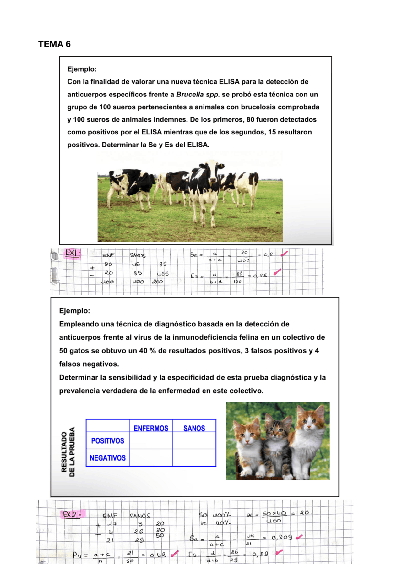 Ejercicios Epidemiologia 20222023 Ejercicios De Epidemiología Docsity
