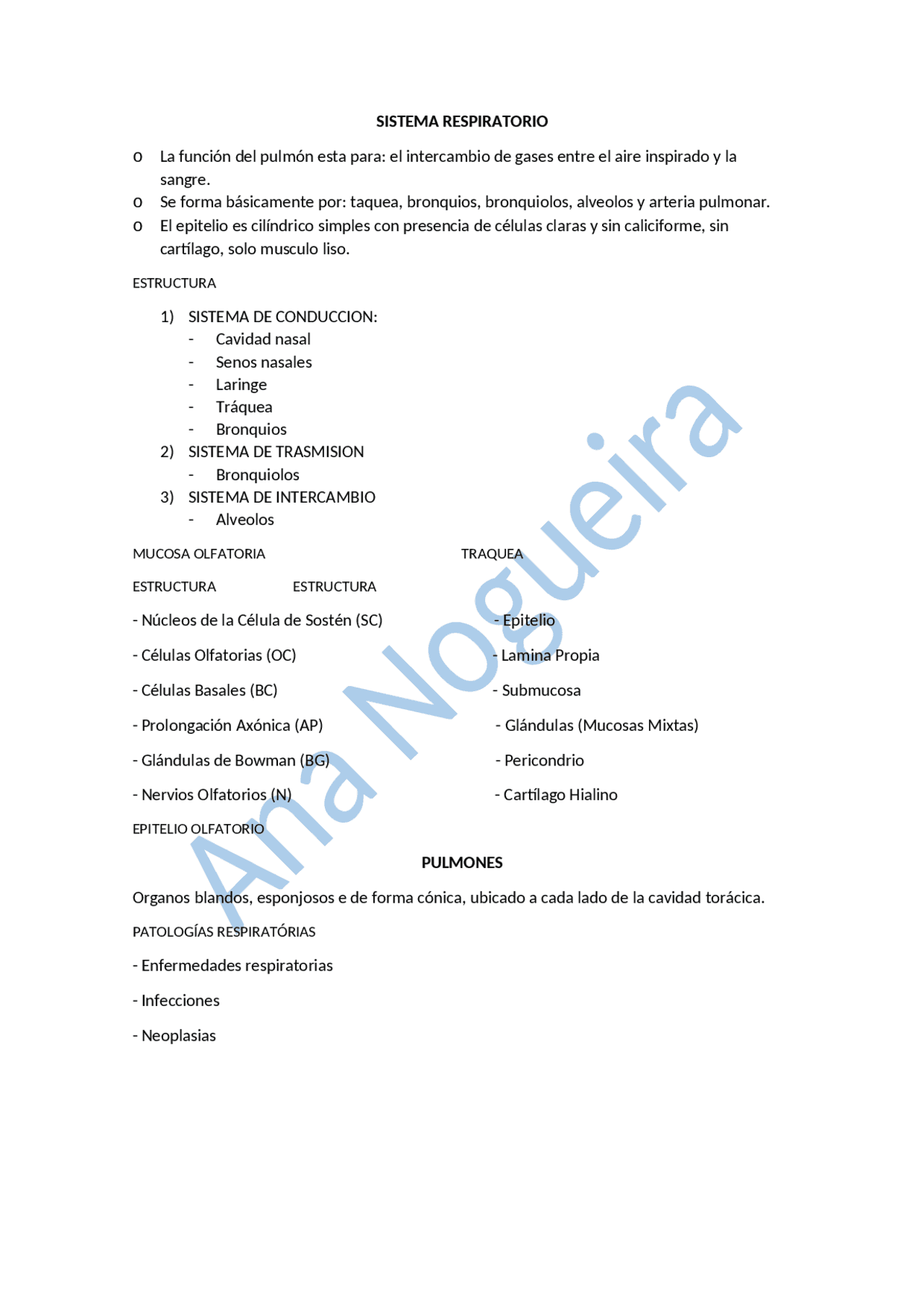 Sistema Respiratório Resúmenes De Fisiología Humana Docsity