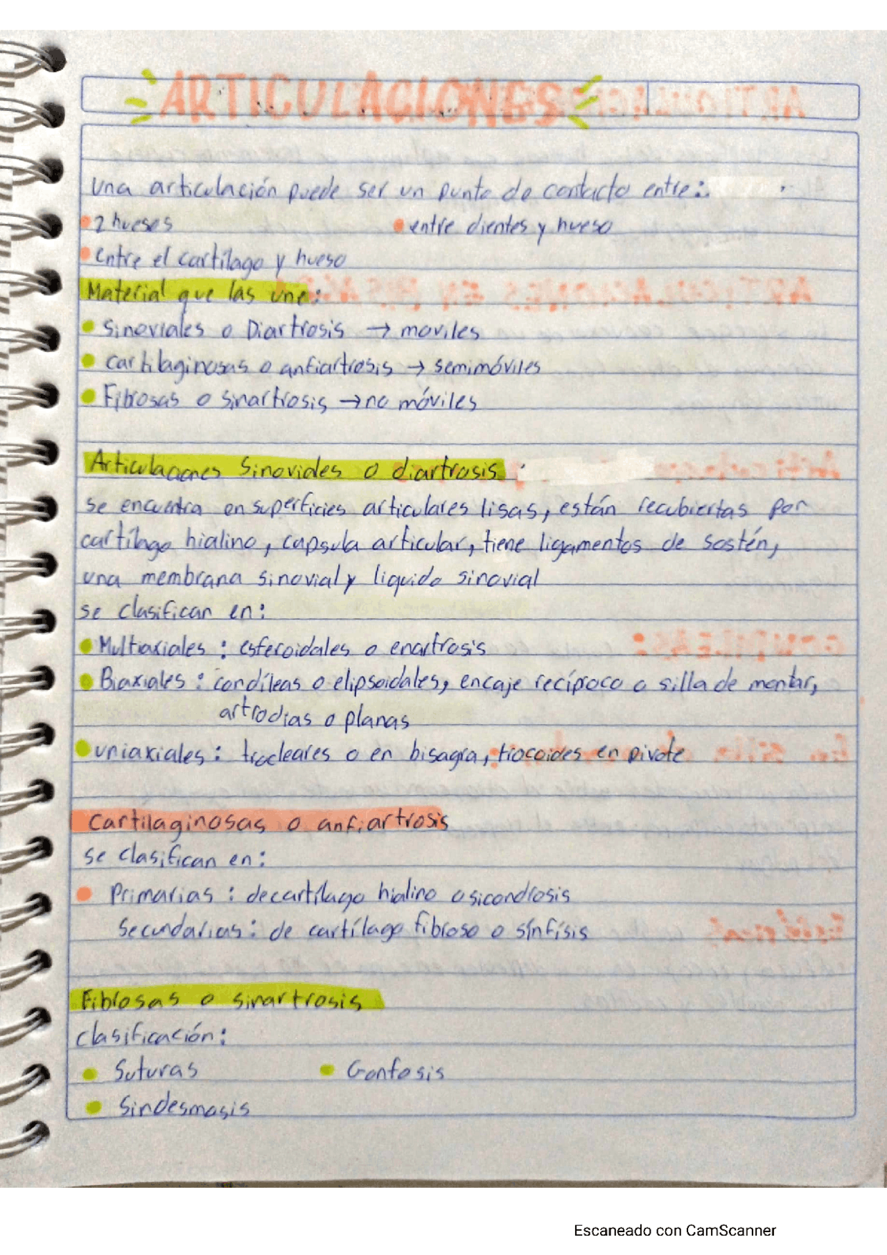 Pares Craneales Tarea De Anatomia Apuntes De Anatomía Docsity