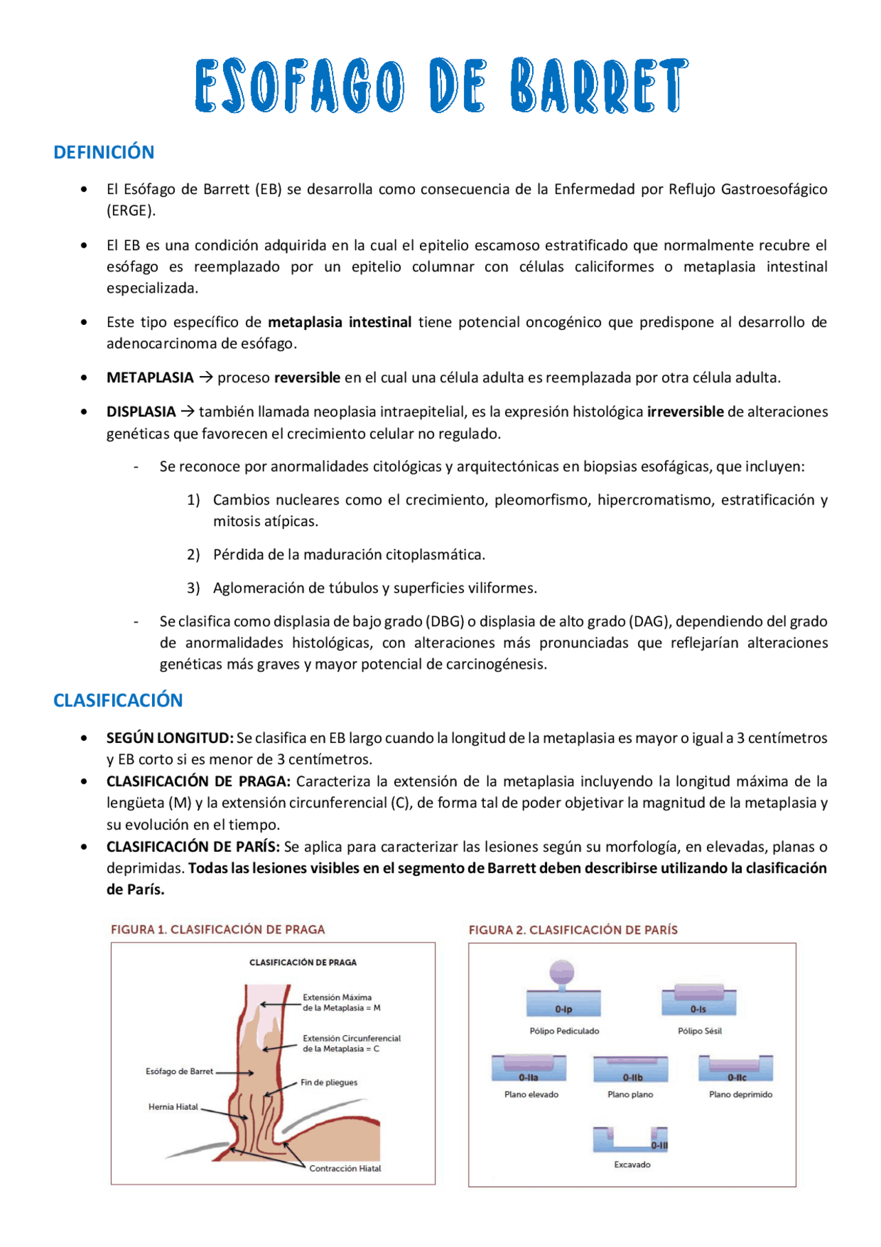 ESOFAGO DE BARRET: DEFINICIÓN, CLASIFICACIÓN, PATOGENIA Y TRATAMIENTO ...