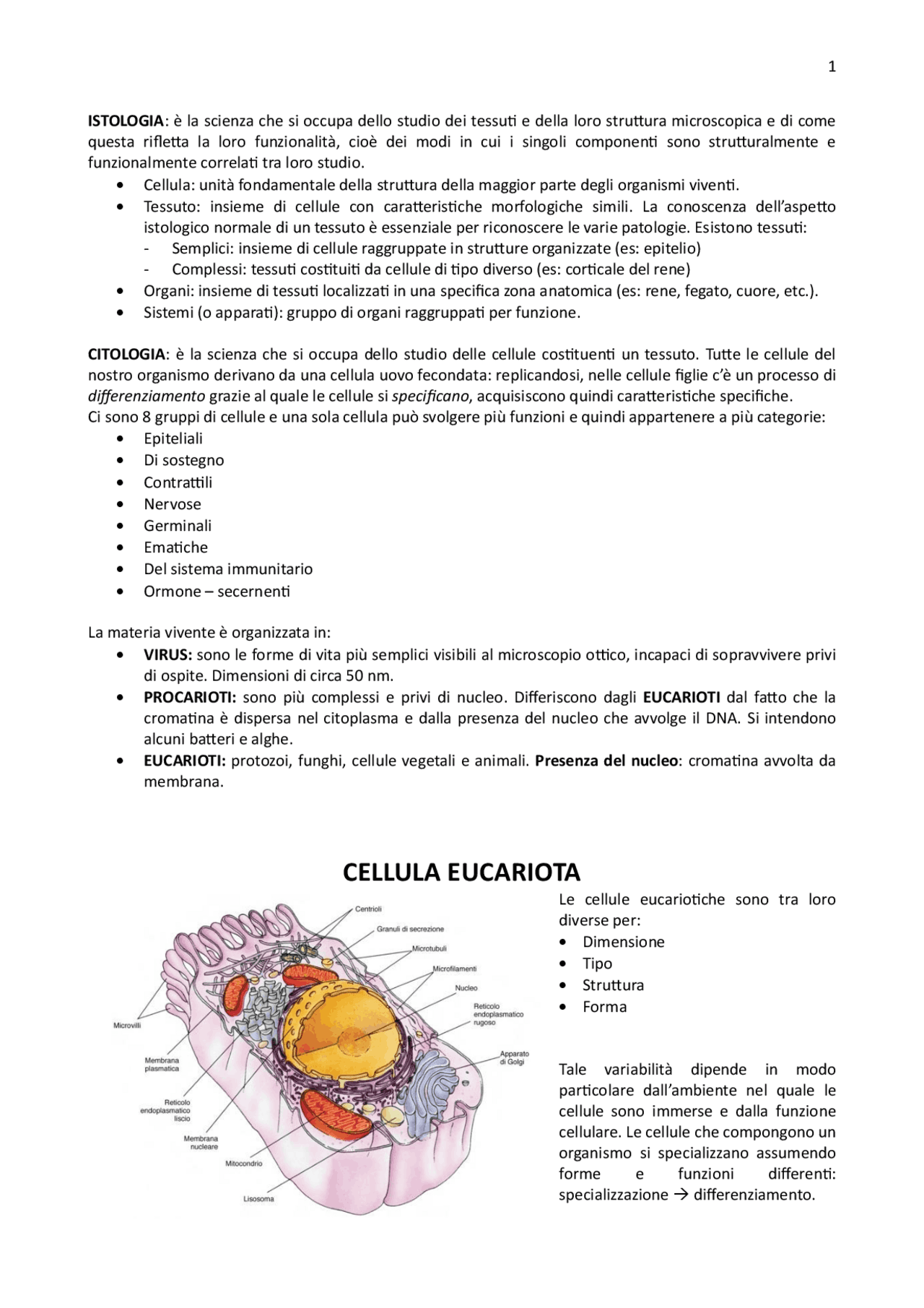 Appunti E Slide Di Istologia Slide Di Istologia Docsity