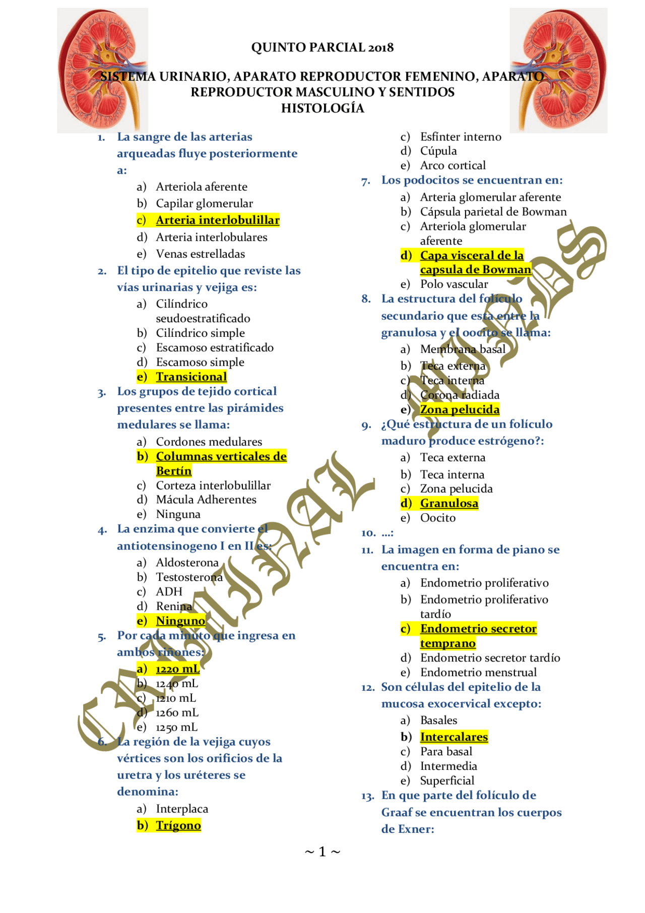 Parcial Examen Histologia2 Apuntes De Histología Docsity