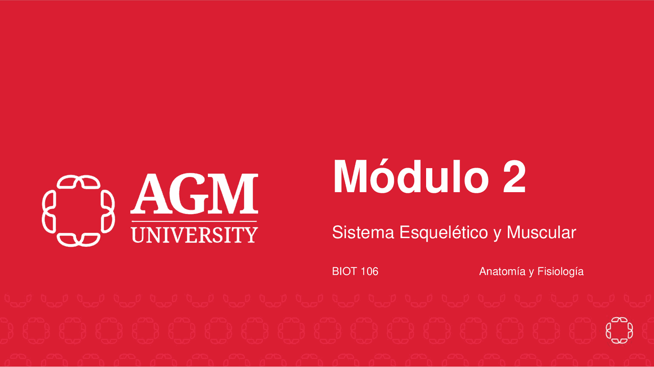Informacion De Tareas Importantes Ensayos Monografías Ensayos De