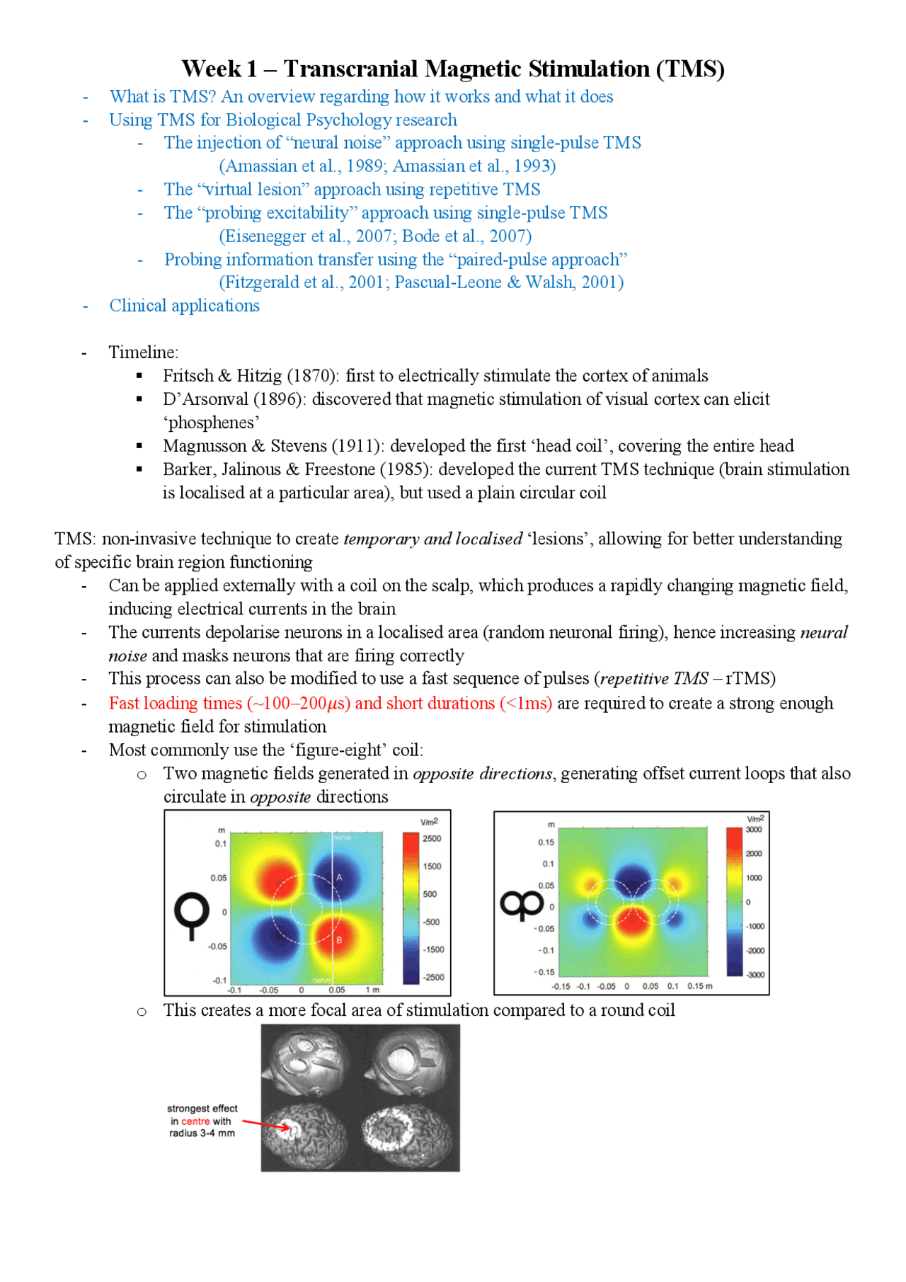 Transcranial Magnetic Stimulation (TMS) | Exercises Biological ...